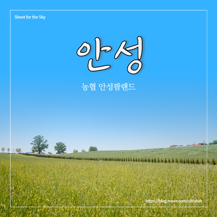 안성 여행 가볼만한곳 사진찍기좋은곳 호밀밭 축제 농협 안성팜랜드 네이버 블로그