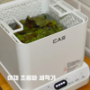 가정용초음파세척기 야채세척기부터 쌀씻기까지 다 되네 네이버 블로그