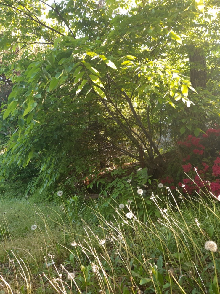 하나님의 구원 계획-2 : 네이버 블로그