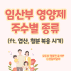 임산부 영양제 시기와 종류를 알아보아요 Ft 주수별 시기별 엽산 철분 복용 시기 네이버 블로그