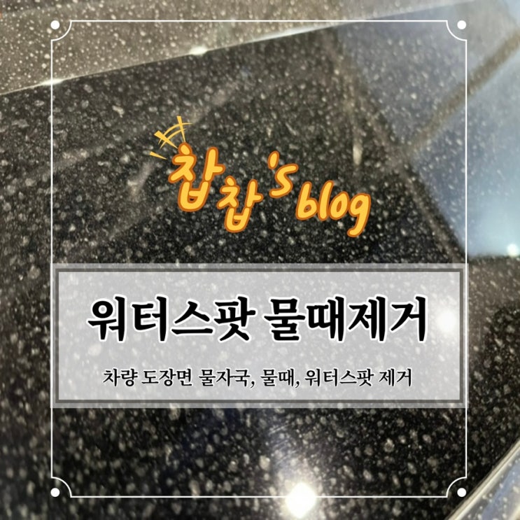 세차 팁 차량 도장면 물자국 물때 워터스팟 제거하기 네이버 블로그