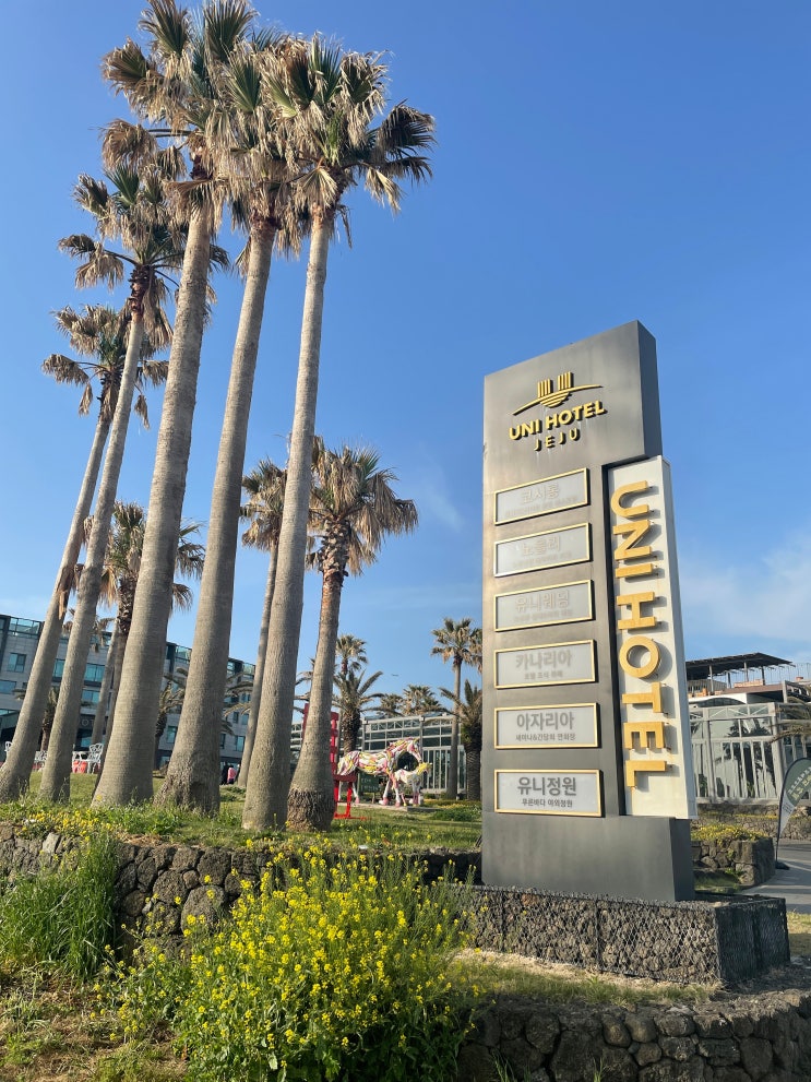 신혼여행 In 제주 1일차 숙박 애월 유니호텔 제주 디럭스 더블룸 오션뷰 조식포함 네이버 블로그