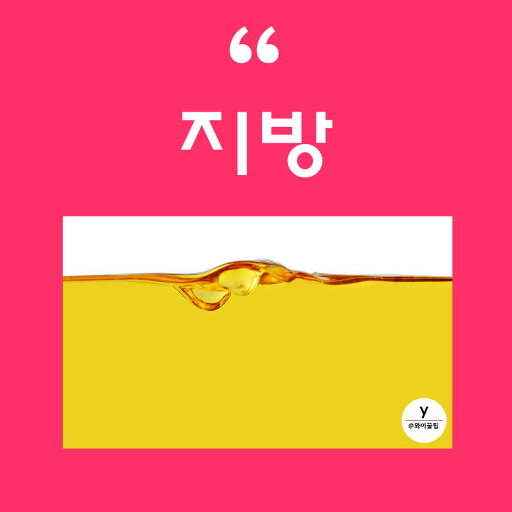 필수 포화 지방산 불포화지방 트랜스지방 심혈관질환 하루 지방 섭취량 아라키돈산 몸에좋은지방 네이버 블로그