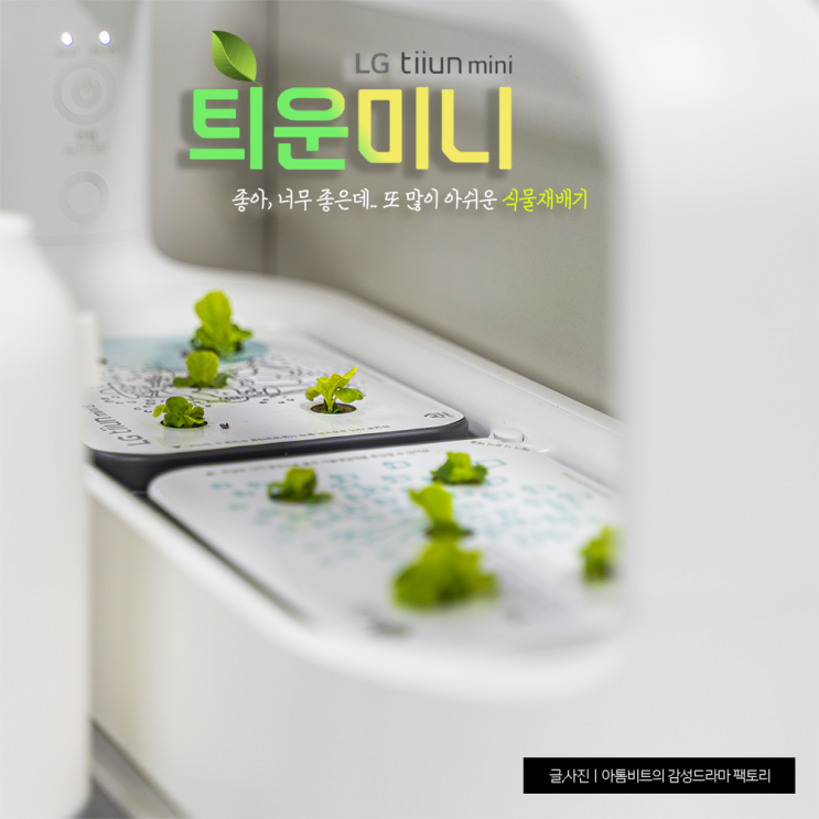 신개념가전 식물재배기 식물킬러였던 나의 마지막 희망 너무 좋은데 또 아쉬운 실사용기 네이버 블로그