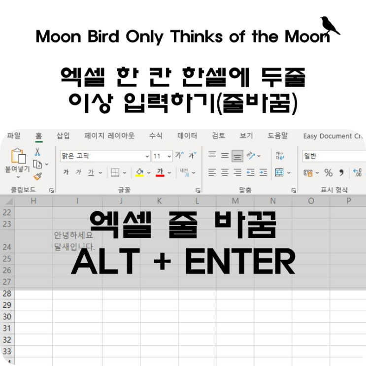 3강 엑셀 한 칸 한셀에 두줄 이상 입력하기 줄 바꿈 기본 사용법 네이버 블로그
