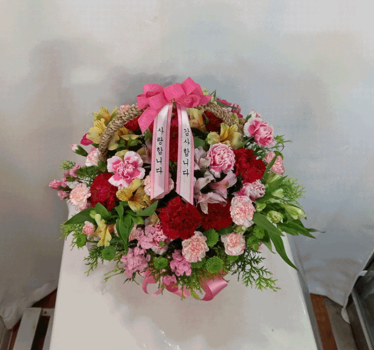 어버이날 축하 카네이션 아스트로 메리아 꽃바구니 일산 꽃집 주엽 꽃집 킨텍스 꽃집 주엽 플라워 네이버 블로그