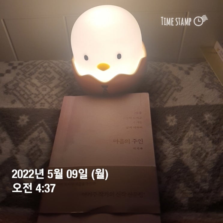 MKYU열정대학생 1일1영문장 오천보 걷기 514챌린지 오월시작 #514챌린지#514챌린지인증#모닝짹짹#굿짹#굿짹월드#5월514챌린지#동글이땡글이 : 네이버 블로그