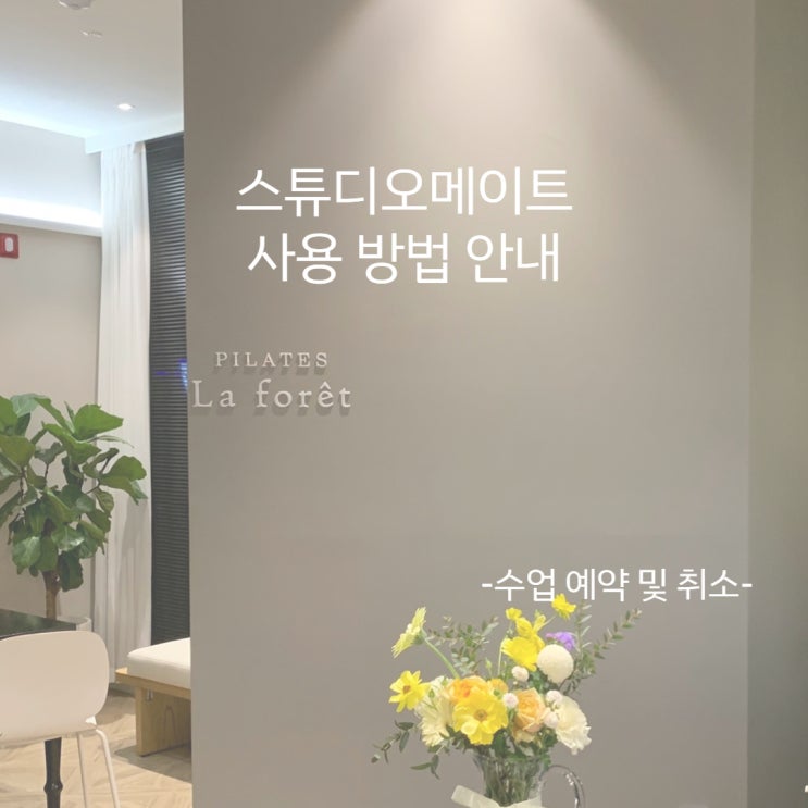 포항필라테스 라포레 필라테스 스튜디오메이트 어플 사용 방법 네이버 블로그