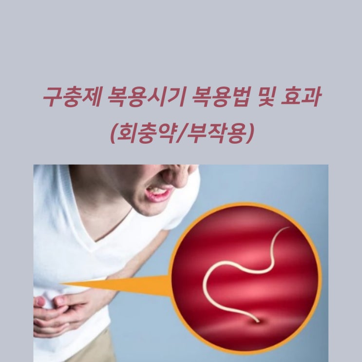 구충제 복용시기 복용법 및 효과회충약부작용 네이버 블로그