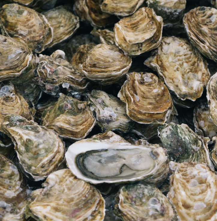 굴껍질추출물 Oyster Shell Extract 화장품 성분 분석 : 네이버 블로그