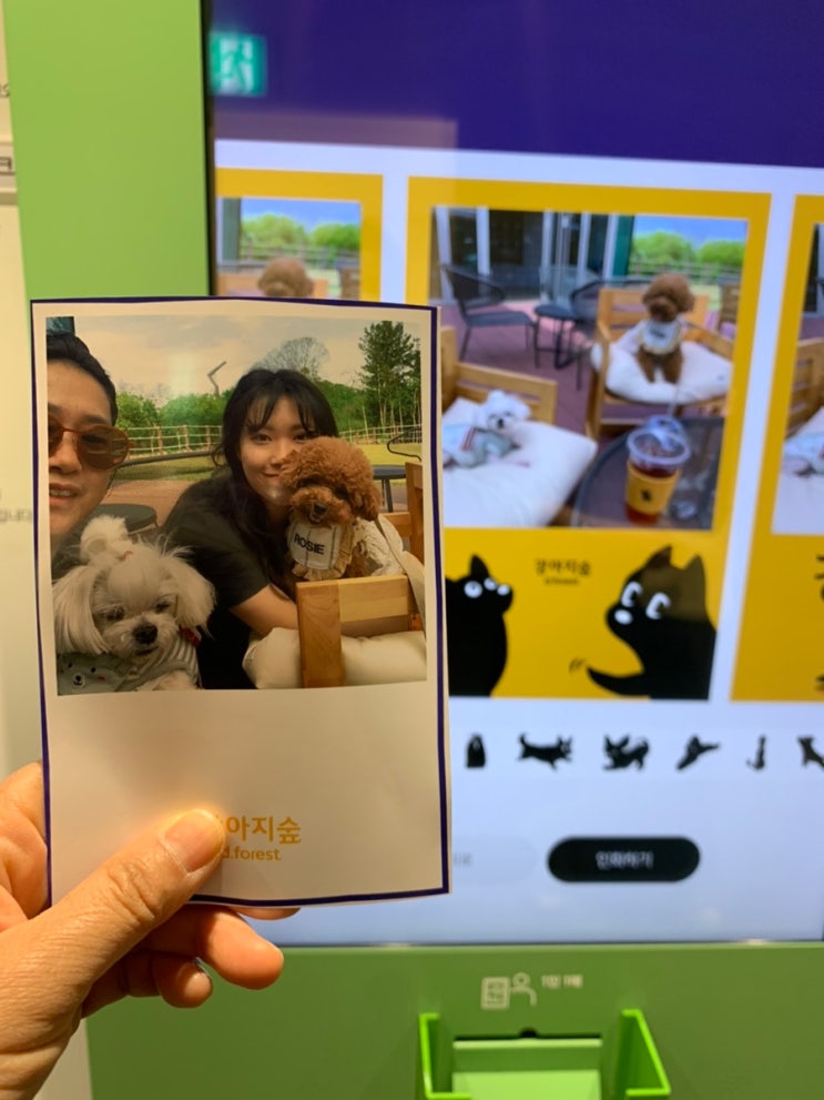 춘천 여행 강아지 숲 반려견 테마파크에서 봄 소풍 피크닉을 즐겼다 네이버 블로그