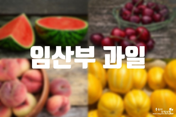임산부 과일 간식 임산부수박 복숭아 참외 체리 네이버 블로그