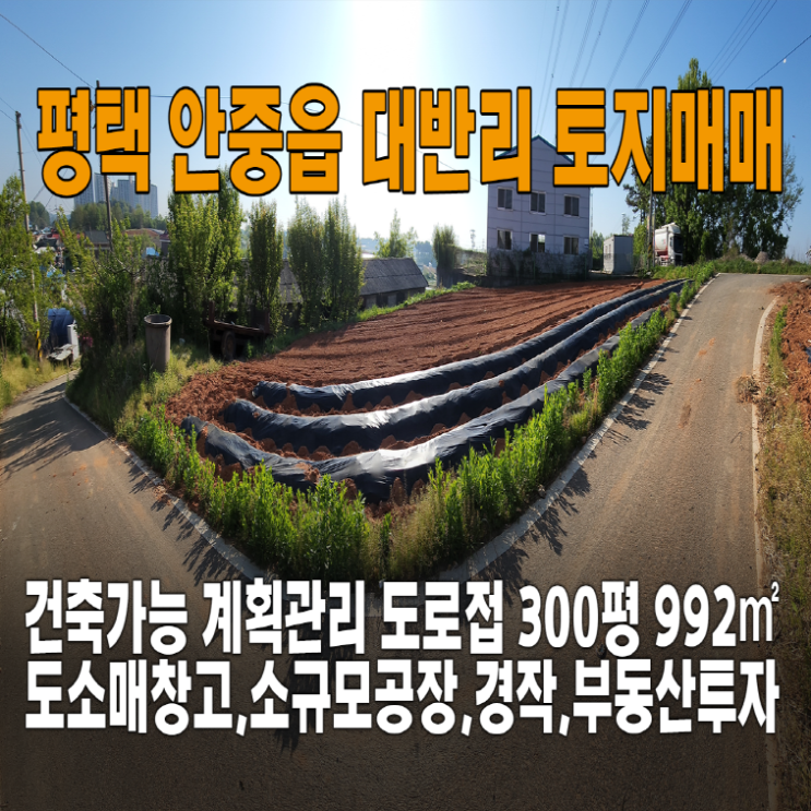 No 2534 평택 안중읍 대반리토지 매매 건축가능한 계획관리토지로서 도로접 300평으로 도소매창고및 소규모공장 텃밭을