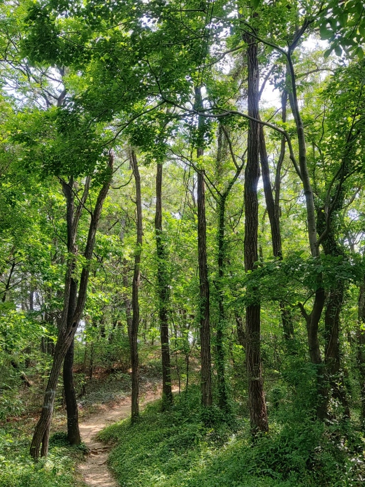아장스망을 바꾸는 삶 : 네이버 블로그