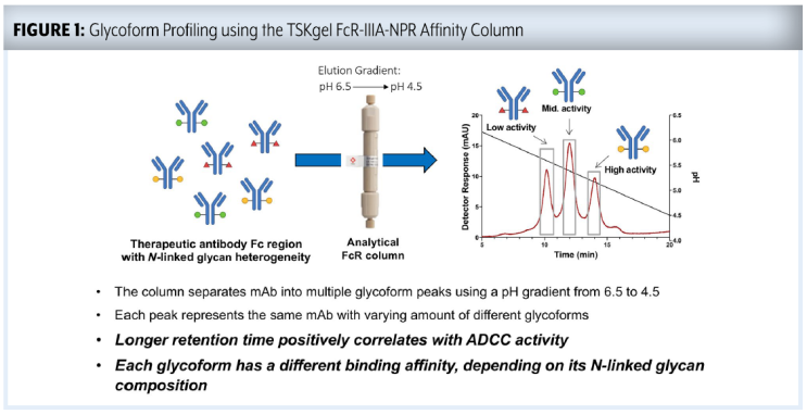 "Monoclonal Antibody Profiling" : FcR Column : 네이버 블로그