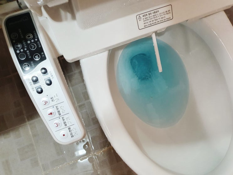 대림비데 노즐세척, 노즐청소 방법! 세정버튼을 누르세요(DST 300) : 네이버 블로그