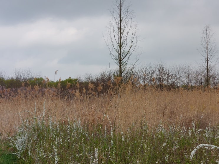 MKYU 514 챌린지 11일차/ 힘든 상황을 살아내는법 : 네이버 블로그