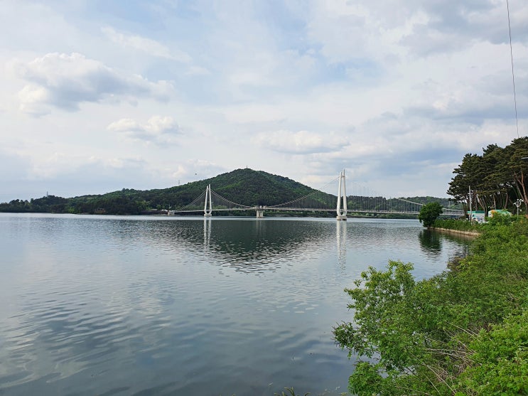 논산 탑정호 출렁다리 주차장 위치 And 입장료 알뜰 팁 네이버 블로그