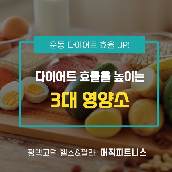 평택고덕 운동 다이어트 효과를 높이는 3대영양소를 알아봅시다 네이버 블로그