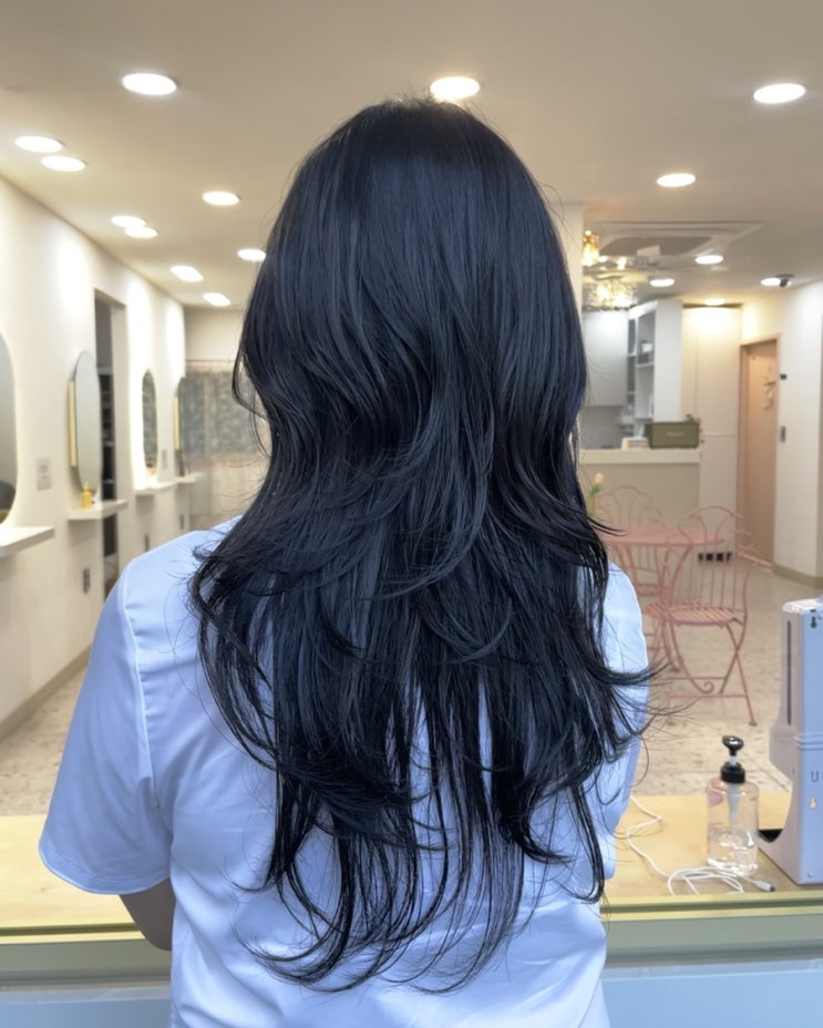 춘천미용실후평동미용실디자인바이제니 허쉬펌허쉬컷춘천파마잘하는곳춘천허쉬컷 네이버 블로그