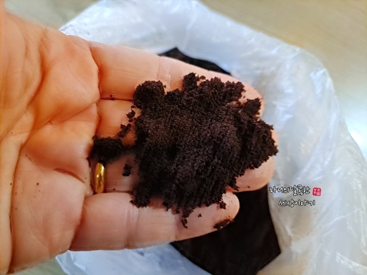 커피찌꺼기 커피가루 훌륭한 활용법 14가지화분방향제 네이버 블로그