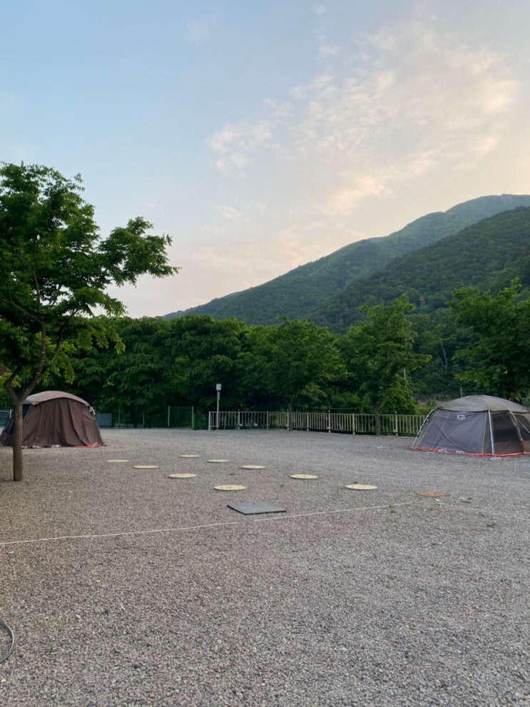 울산 울주군 울산근교캠핑장 배내골캠핑 배내골강마을캠핑장 네이버 블로그