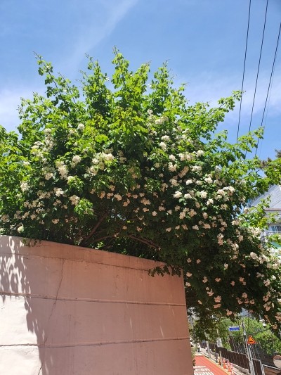 eju과외-eju기출 문제 샘플보기 (eju과외,eju시험,eju기출문제) : 네이버 블로그