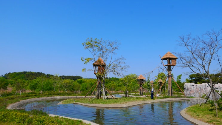 충청도 여행 가볼만한곳 : 서천 국립생태원 놀이터 : 네이버 블로그