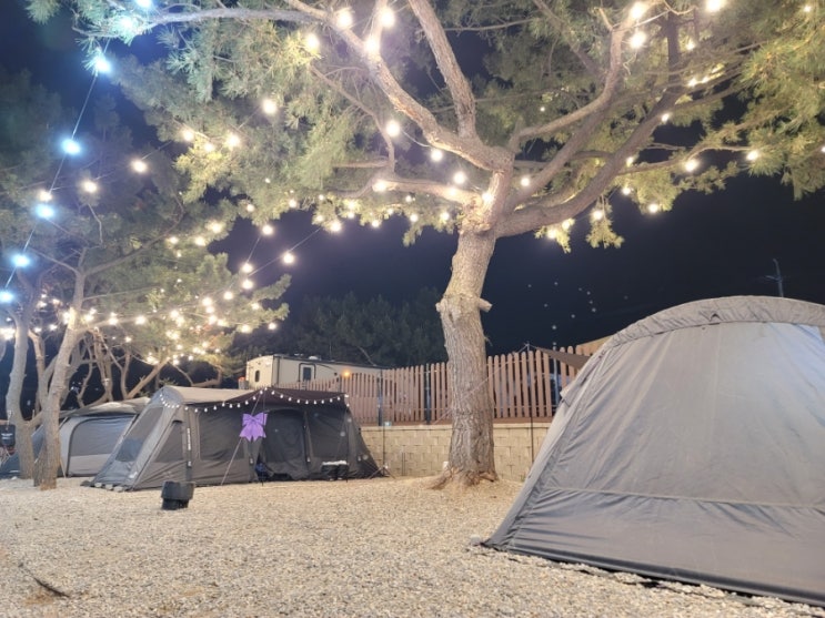 두번째 캠핑 🏕 을왕리 솔트 캠핑장 네이버 블로그