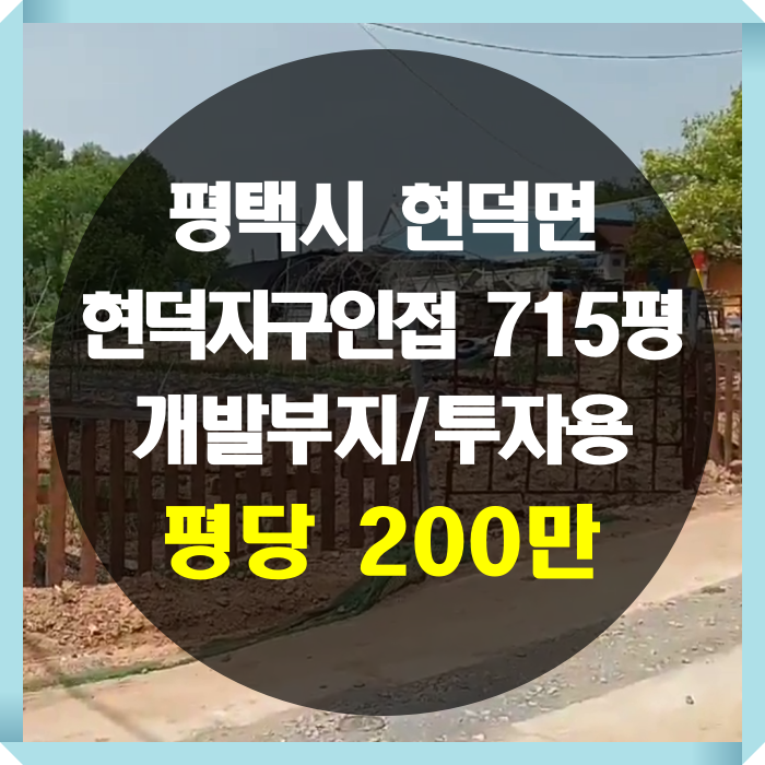 평택현덕면권관리입지좋은토지매매 평택황해경제자유구역현덕지구와인접평택호관광단지와5분거리위치평택현덕면개발부지평택현덕면투자