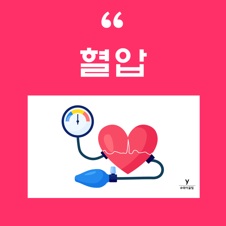 고혈압 증상 혈압약 종류 처방 성인 혈압 정상수치 혈압낮추는방법 혈압에 좋은 음식 영양제 네이버 블로그