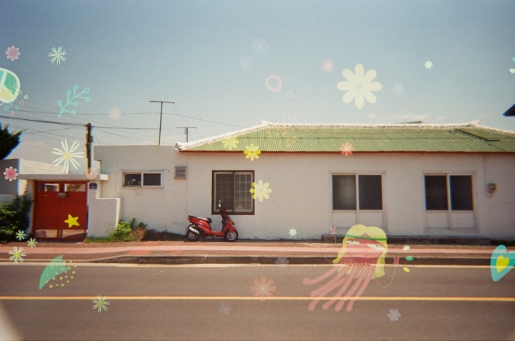 Hoasca Film / Flower Power 200 : 네이버 블로그