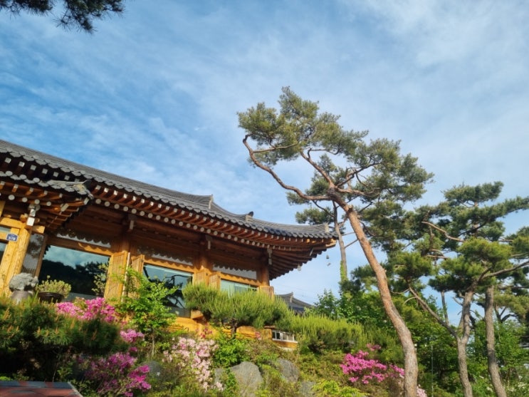 신라궁팔순잔치소규모팔순상대구칠순잔치대구팔순잔치동명신라궁한정식한정식팔순상경북팔순잔치출장생신상차림칠순팔순전문업체