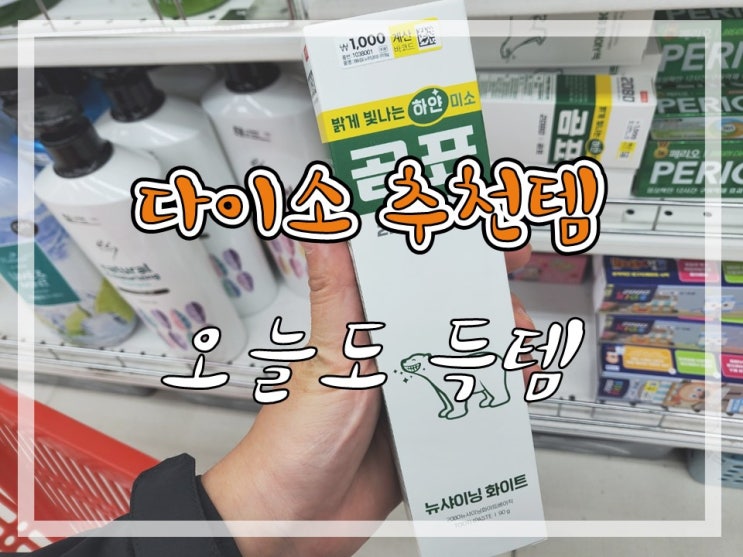 다이소 추천템 살림템 소박하게 장보기 다이소단선방지 약통케이스 차망 다용도그물보관망 과일꽂이 스탠드양치컵