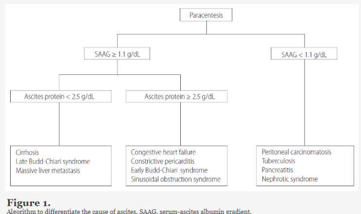 혈장 단백질(전기영동, SAAG, AG ratio, 알부민, 글로불린 등) : 네이버 블로그