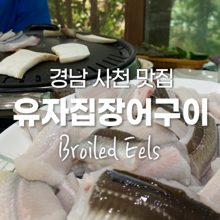 경남 사천 삼천포 맛집 유자집장어구이 장어국 현지인 추천 포장가능 네이버 블로그