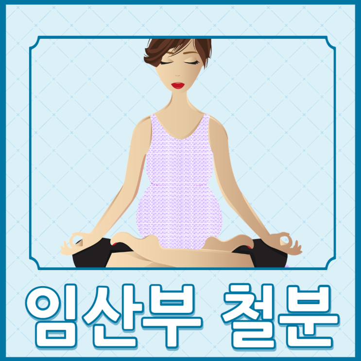 철분 임산부 철분제 복용시기 복용법 용량 부작용 임산부 철분제 임산부 철분주사 네이버 블로그