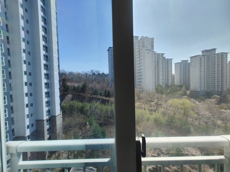 김포 아파트썬팅 구래동 마산동 장기동 아파트 거실창문 열차단썬팅 햇빛차단썬팅 저층아파트 시선차단썬팅 시공 네이버 블로그