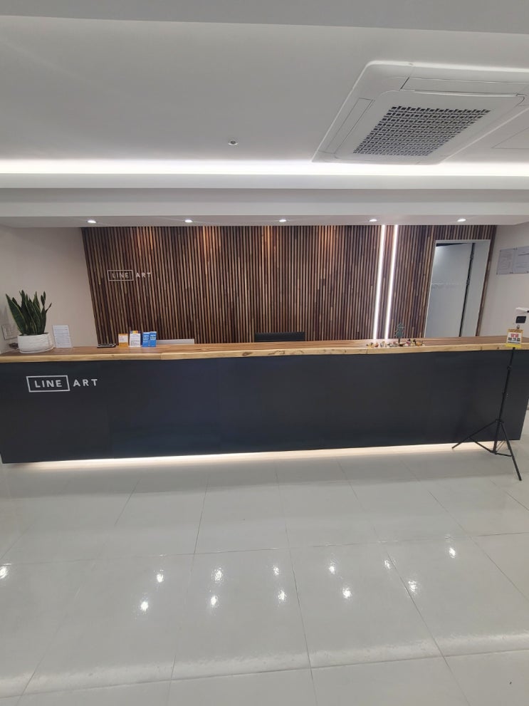 강남 일본유학미술전문 미술학원 '라인아트 미술학원' : 네이버 블로그