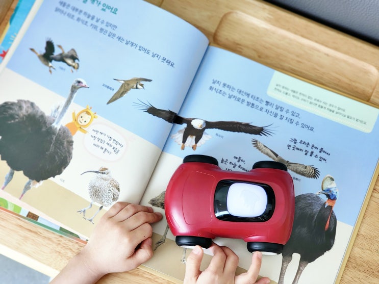 돌아기책 한솔교육 핀덴자연놀이 유아 자연관찰책으로 책육아 네이버 블로그
