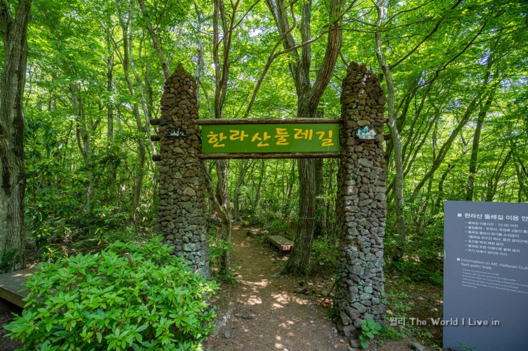 제주 한라산 국립공원 서귀포 여행 코스 제주 가족여행 트레킹 코스 제주도 한라산 둘레길 : 네이버 블로그