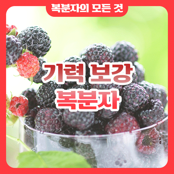 기력 보강 복분자 제철 과실 과일 6월 7월 8월 과일 효능 칼로리 영양성분 고르는 손질하는 법 보관 부작용 네이버 블로그