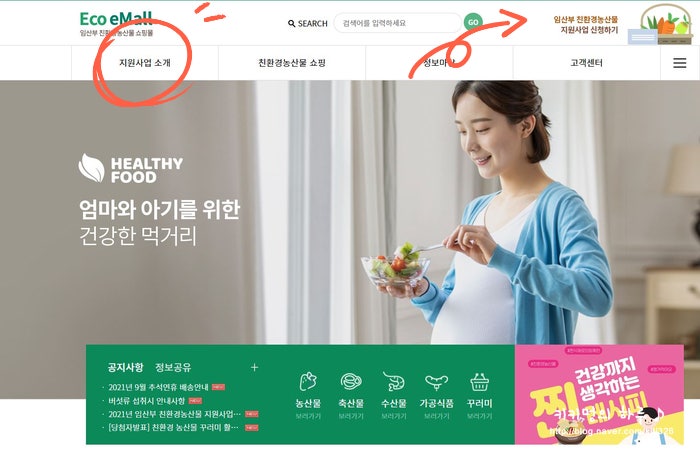임신·출산 혜택 엄마와 아기를 위한 건강한 먹거리 임산부 친환경 농산물 지원 사업 임산부 친환경 농산물 꾸러미 신청