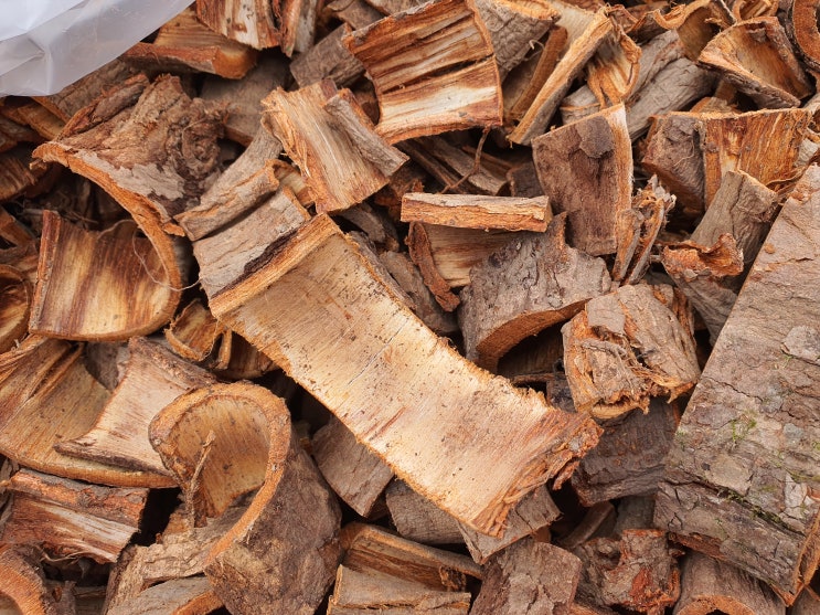 비염, 염증, 유근피효능 (느릅나무뿌리껍질) : 네이버 블로그