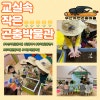 어린이곤충관찰유치원곤충전시 교실 속 작은 곤충박물관 꼬마곤충박사님들 모여라~ 네이버 블로그