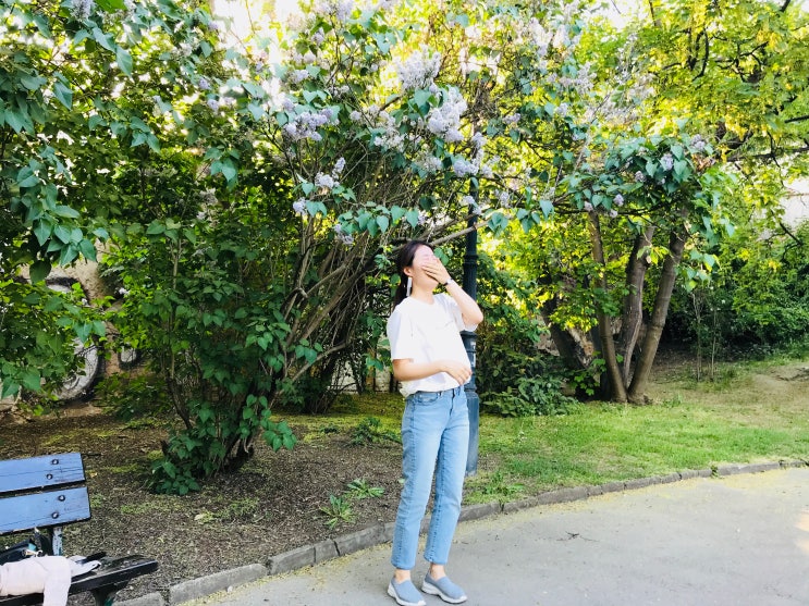 세미패키지 안보면 후회할 후기 동유럽패키지 Vs 서유럽패키지 밸런스 게임 필요없이 다~ 다녀왔다 네이버 블로그