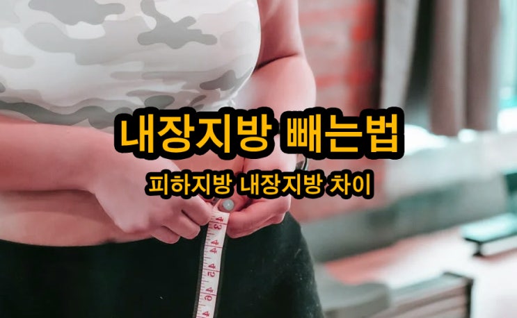 내장지방 빼는법 피하 제거 복부 지방 빼는 음식 운동 네이버 블로그