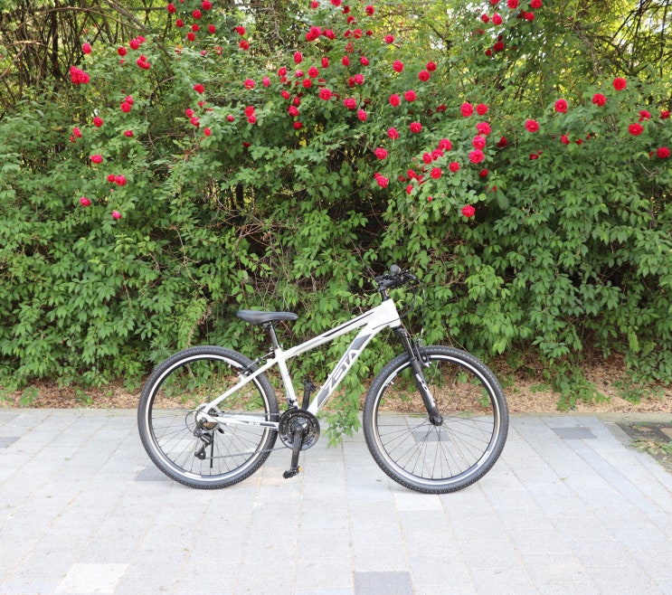 출퇴근용 mtb 자전거추천 알톤 제타 MV26 : 네이버 블로그