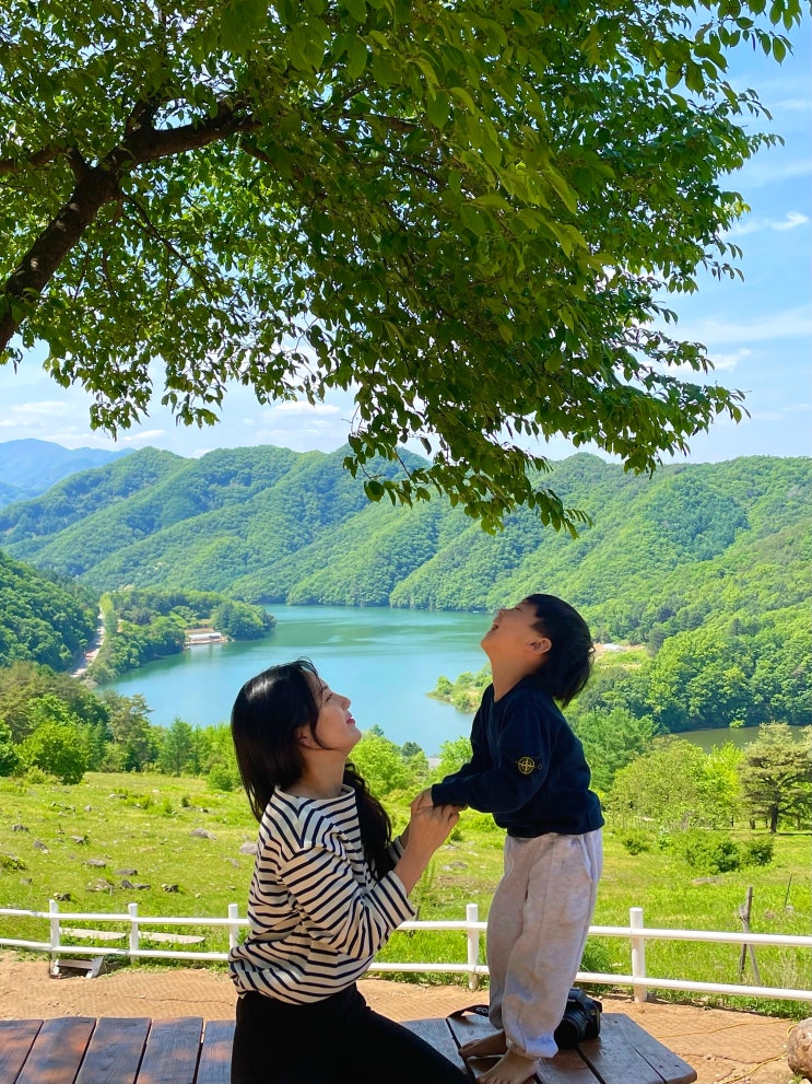 강원도 춘천 1박2일여행 해피초원목장 아이랑 갈만한곳 │ 양떼목장 네이버 블로그