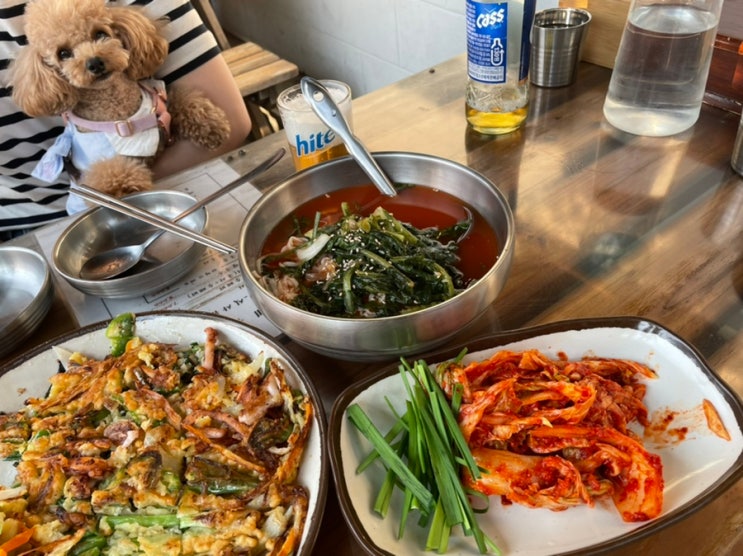 서울 광진구 구의동 애견동반 가능한 가성비 맛집 아차산 민속국시전문점 다야 네이버 블로그